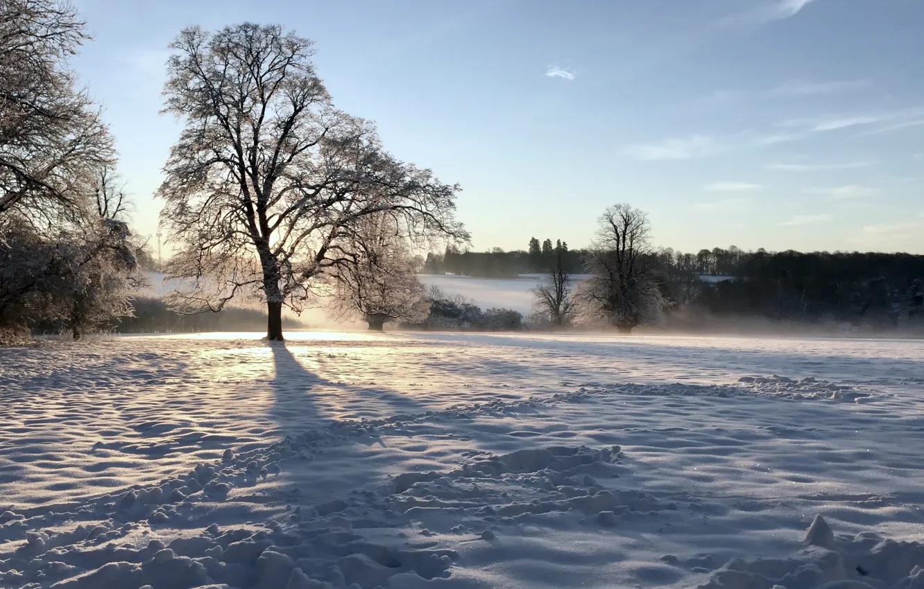 Wallpaper cold, winter, morning for mobile and desktop, section природа ...