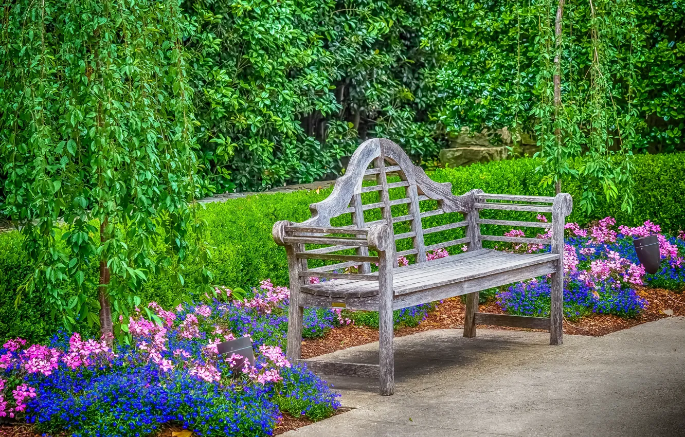 Wallpaper flowers, bench, plant, HDR, garden, USA, Dallas, Dallas ...