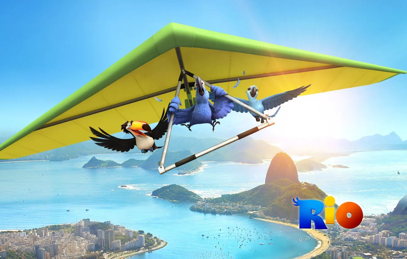 Wallpaper birds, cartoon, Rio images for desktop, section фильмы - download
