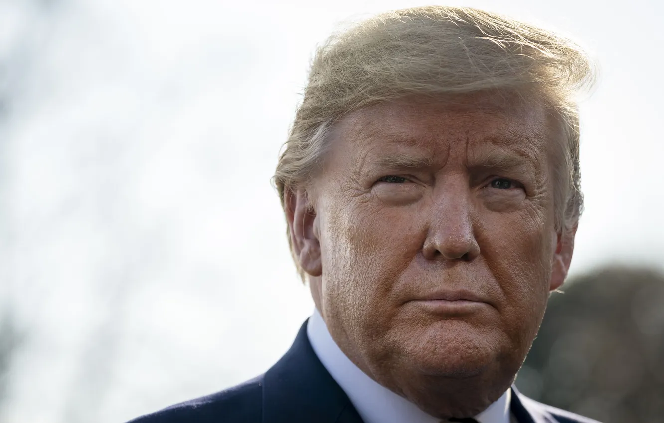 Wallpaper Donald Trump, Donald Trump, 47th President of the United ...