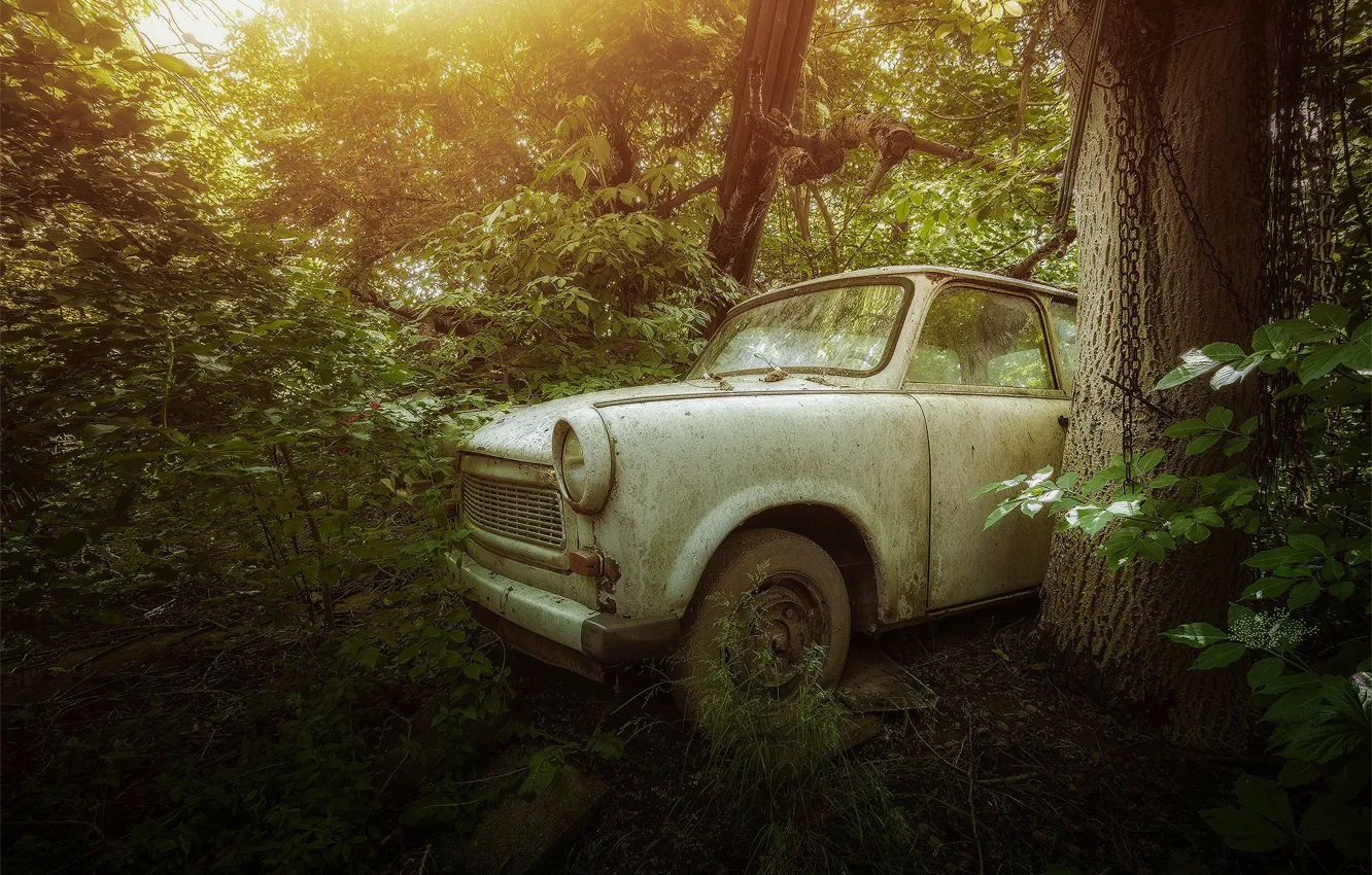 Wallpaper machine, forest, Parking images for desktop, section другие ...