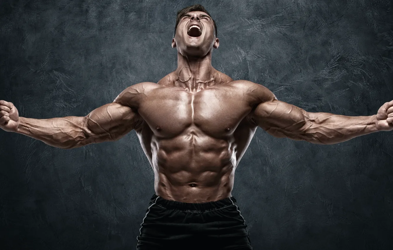 Wallpaper pose, figure, Muscle, muscle, muscles, press, athlete ...