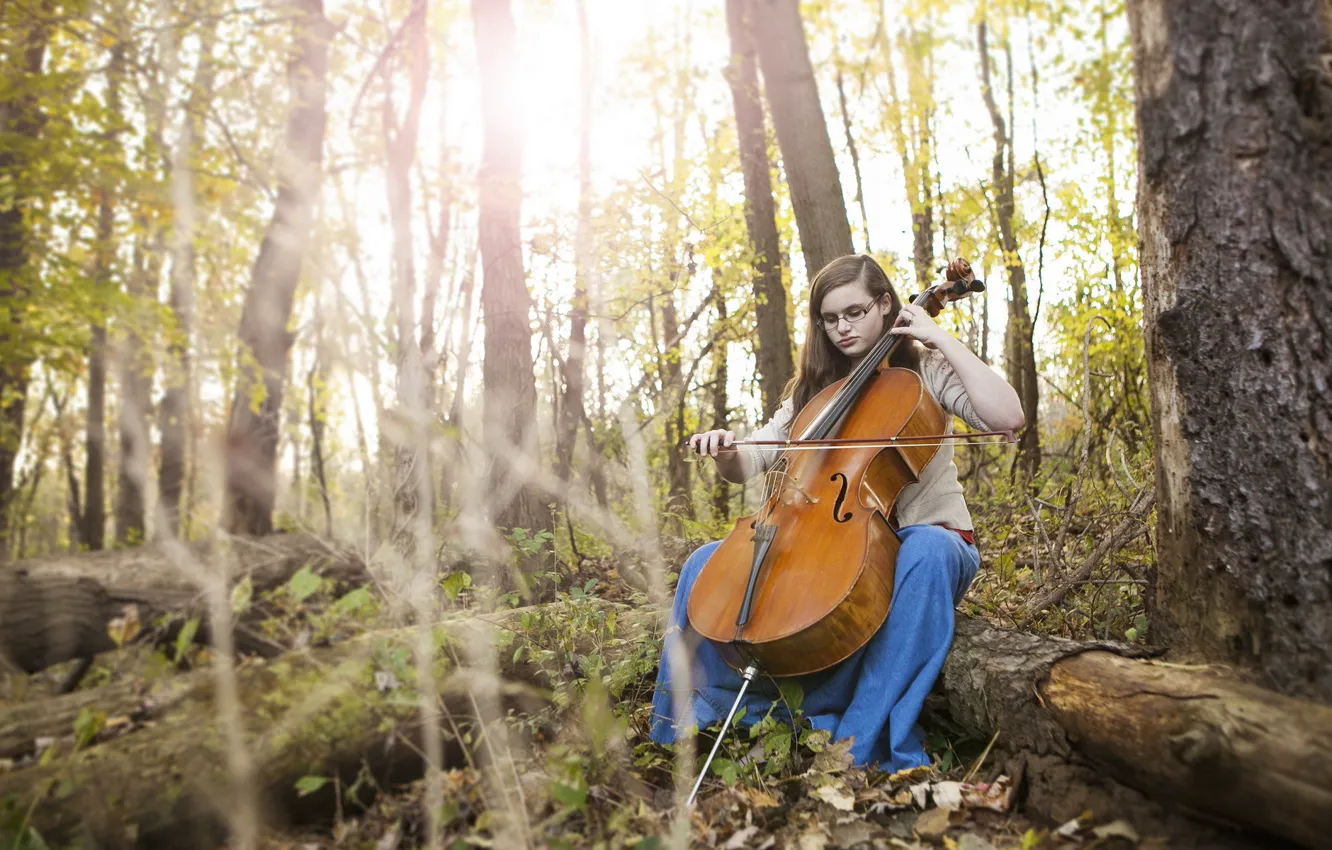 Wallpaper Fall, Autumn, Cello for mobile and desktop, section музыка ...