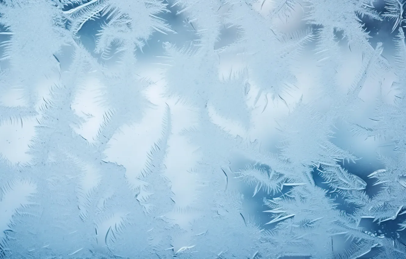 Wallpaper ice, winter, frost, glass, snow, background, window, frost ...