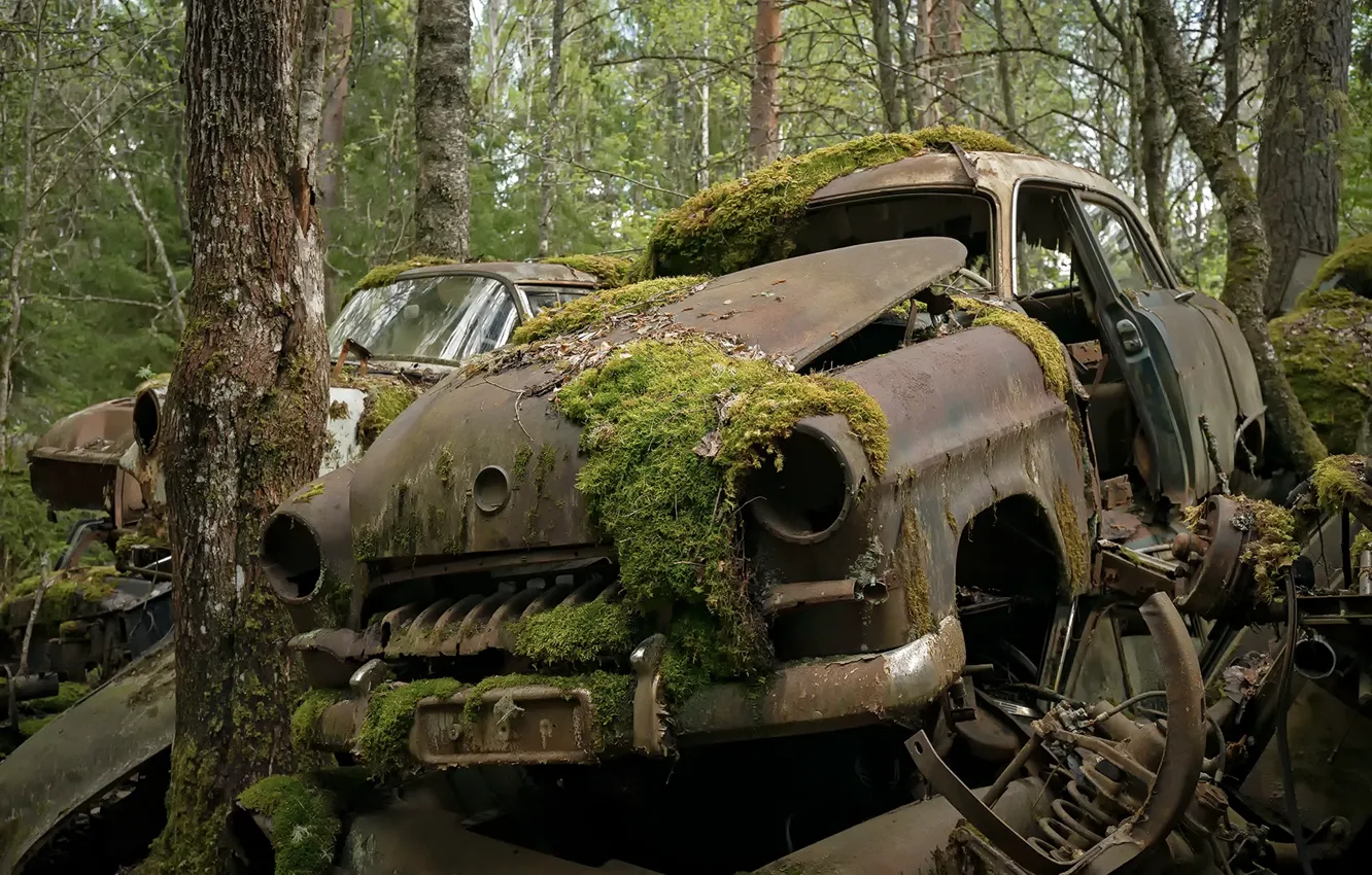 Wallpaper machine, forest, scrap for mobile and desktop, section разное ...