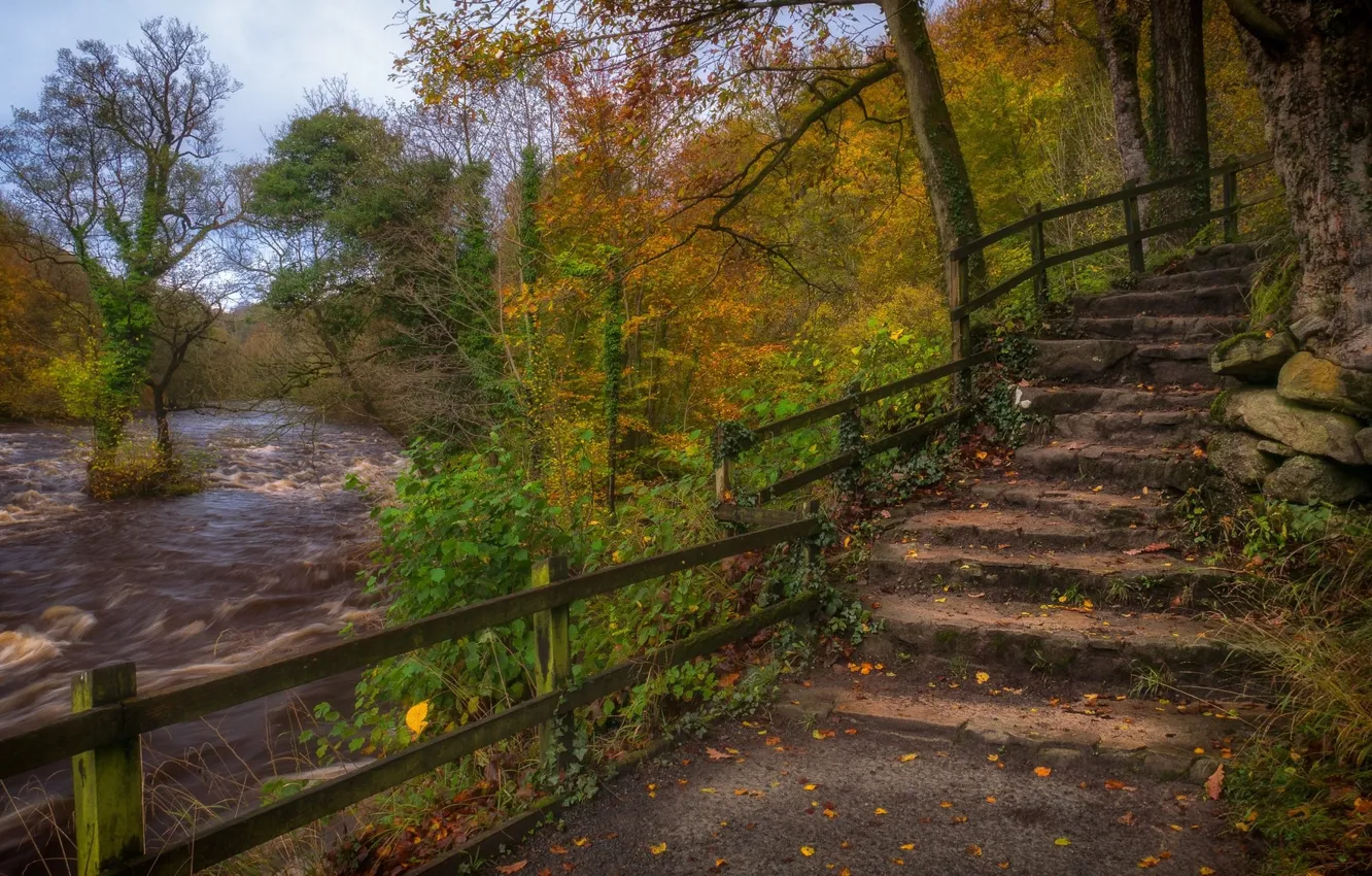 Wallpaper landscape, nature, beauty, ladder for mobile and desktop ...