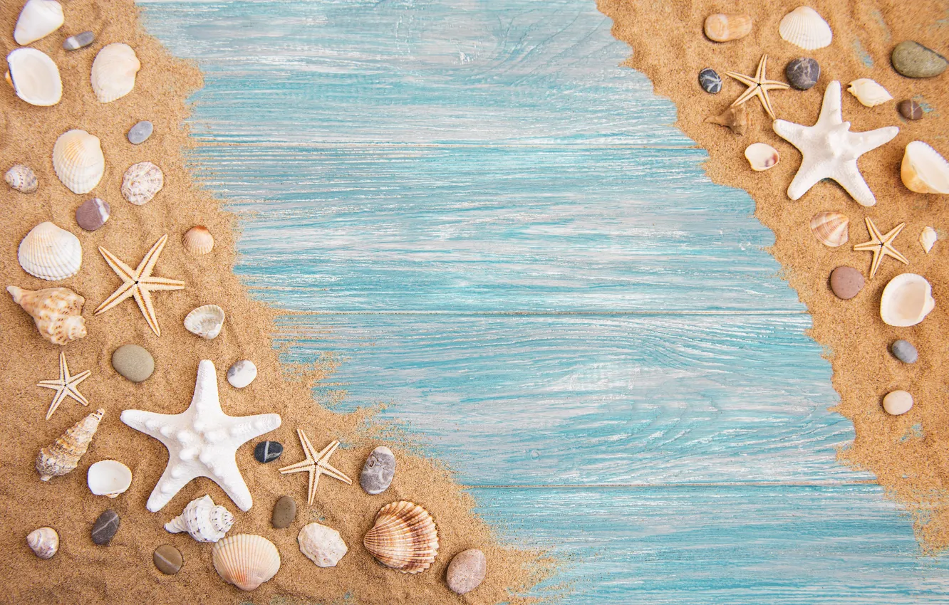Wallpaper sand, background, shell, beach, wood, background, sand, seashells for mobile and ...
