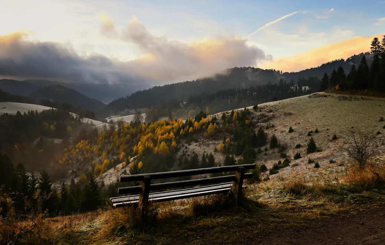Wallpaper autumn, nature, bench for mobile and desktop, section пейзажи ...