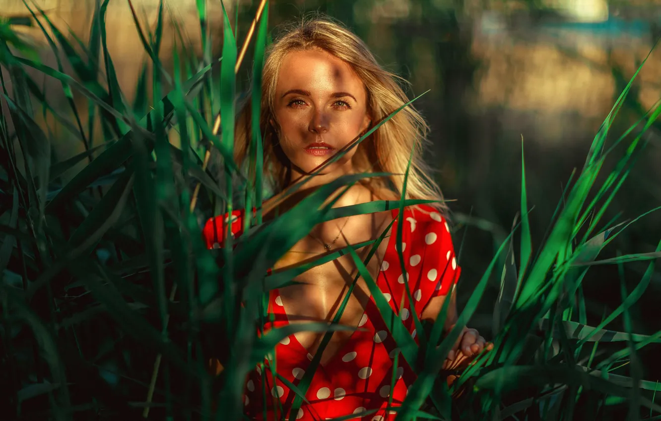 Wallpaper look, girl, face, portrait, neckline, Pavel Mylnikov, Pavel Myl'nikov, Anastasia Cold ...