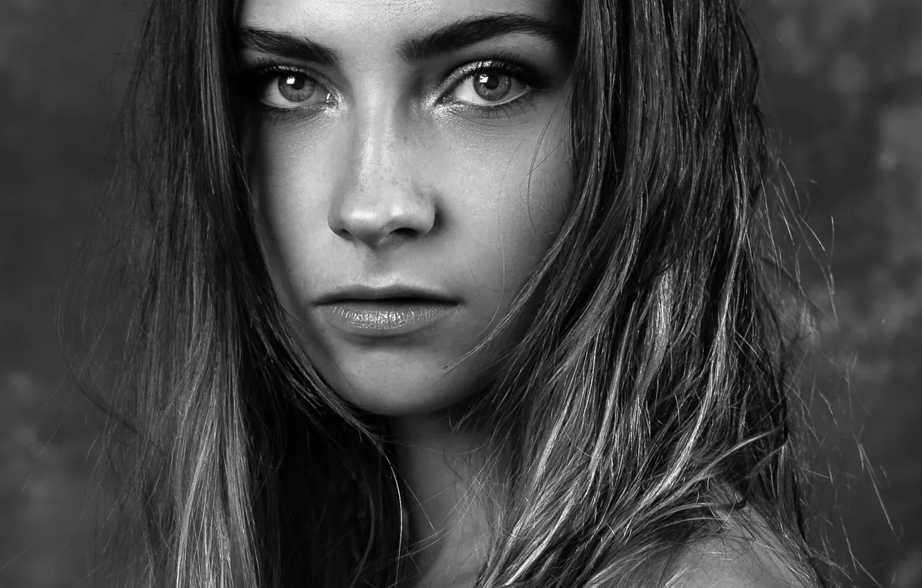 Wallpaper sponge, the beauty, monochrome, Louise, Astra Pop Wally for ...