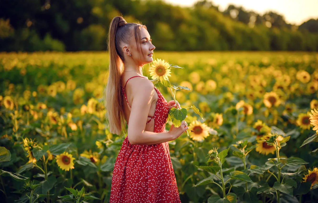 Wallpaper summer, sunflowers, Diana for mobile and desktop, section девушки, resolution ...
