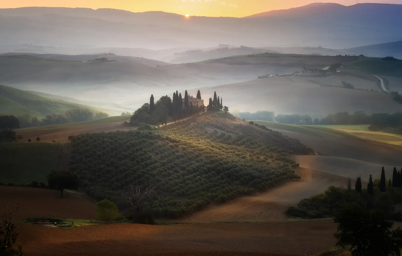 Wallpaper field, fog, Italy, Tuscany for mobile and desktop, section ...