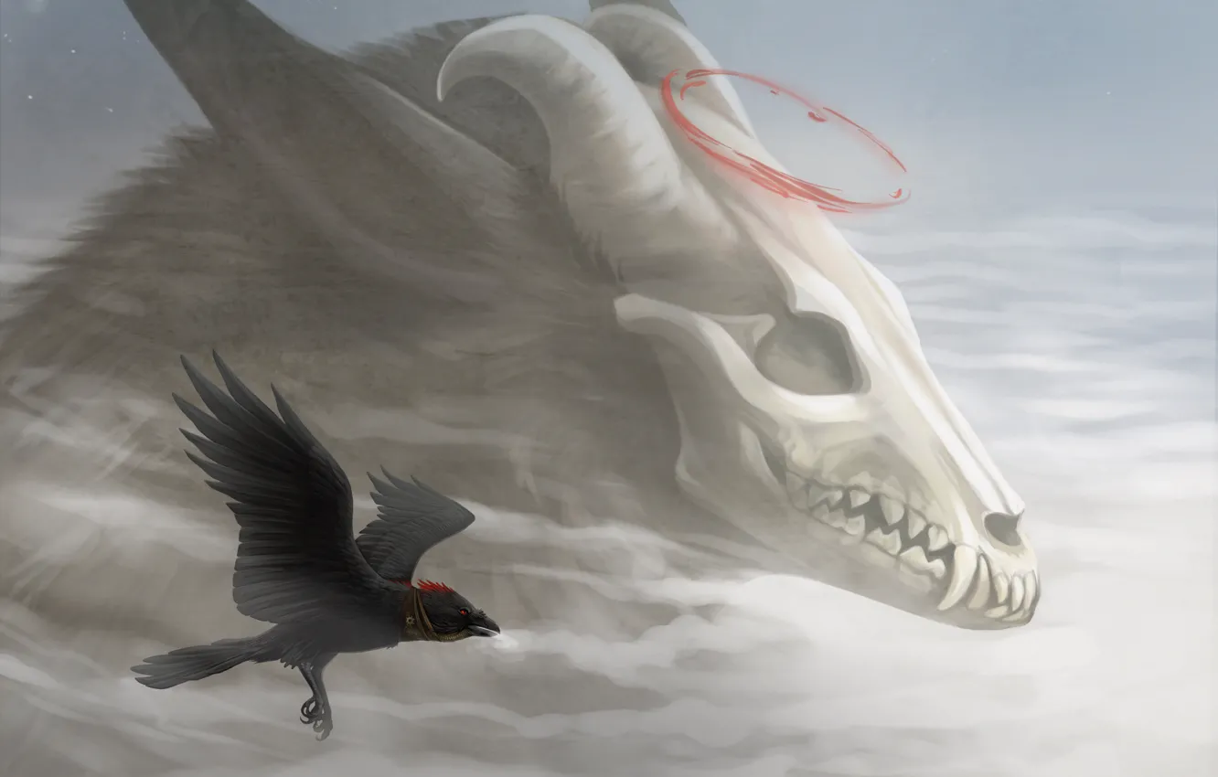 Wallpaper the sky, flight, fiction, bird, skull, art, horns, Raven for ...