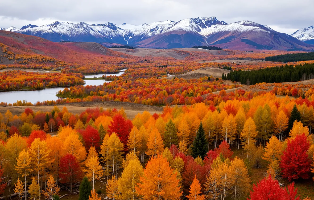 Wallpaper colors, trees, nature, mountains, fall, fall colors for ...