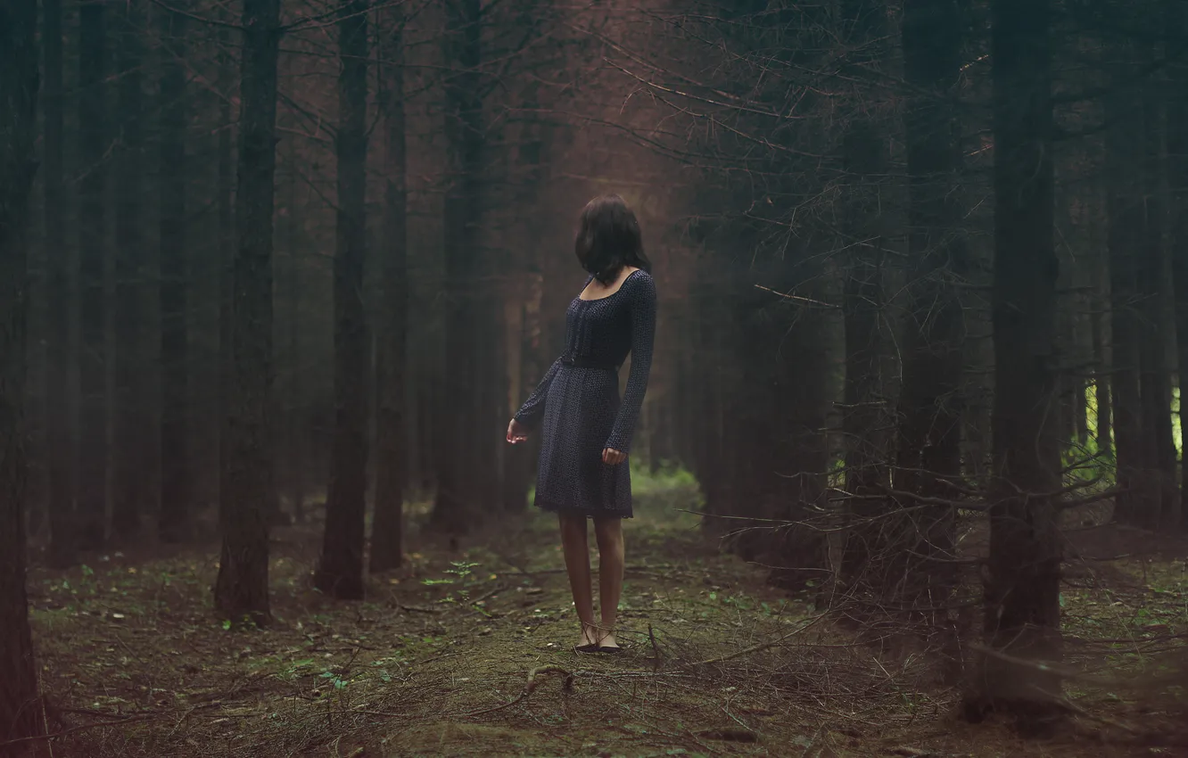 Wallpaper forest, girl, twilight, pine for mobile and desktop, section девушки, resolution ...