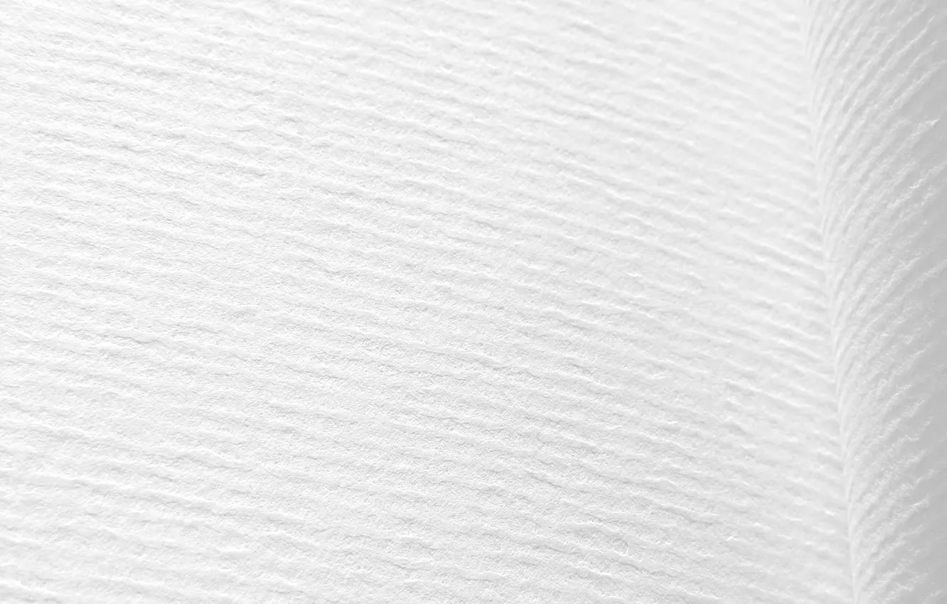 Wallpaper white, paper, texture, turn, embossed, paper embossed, comb ...
