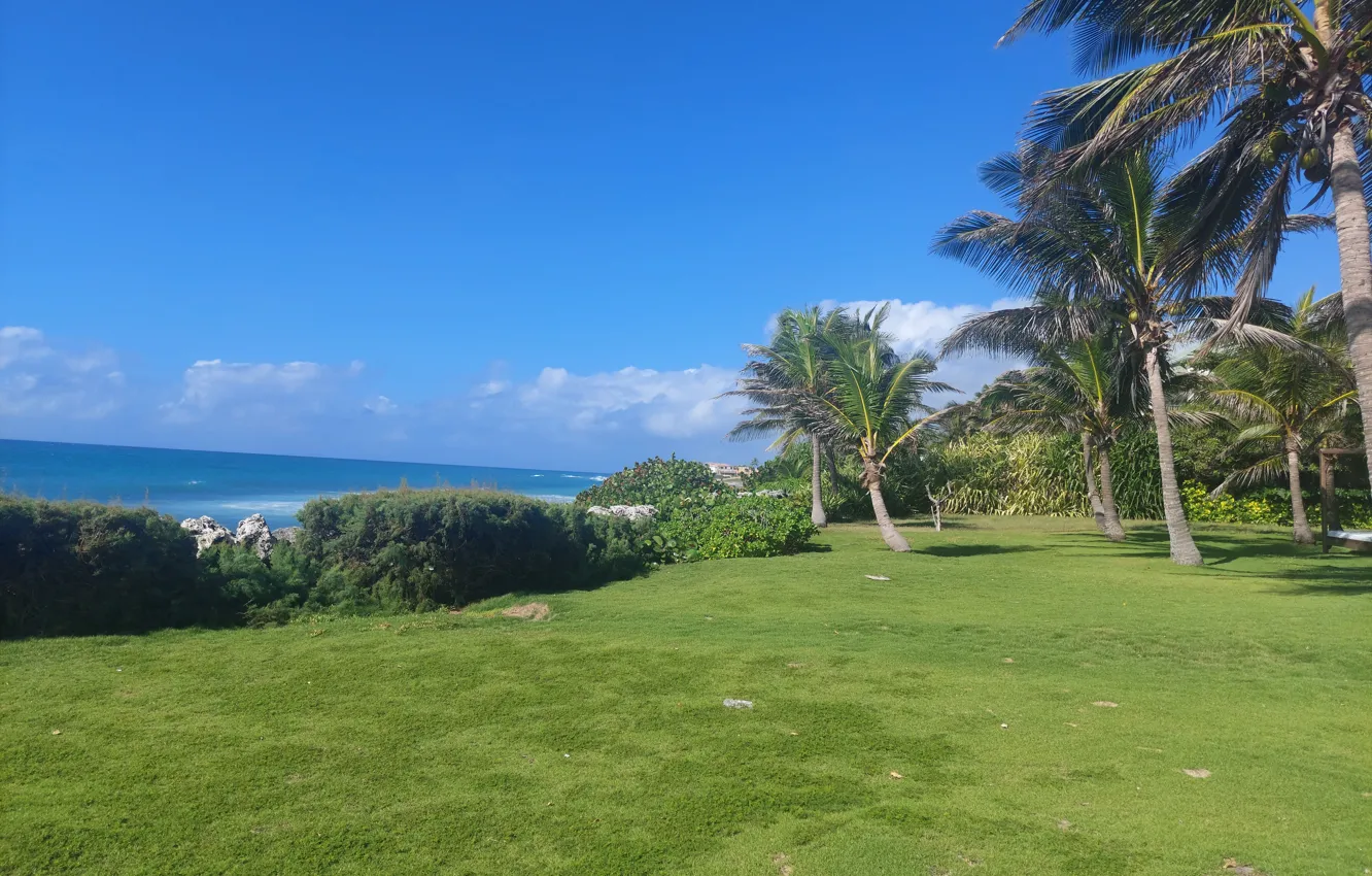 Wallpaper Wallpapers Barbados, Resorts in Barbados, Nature in Barbados ...