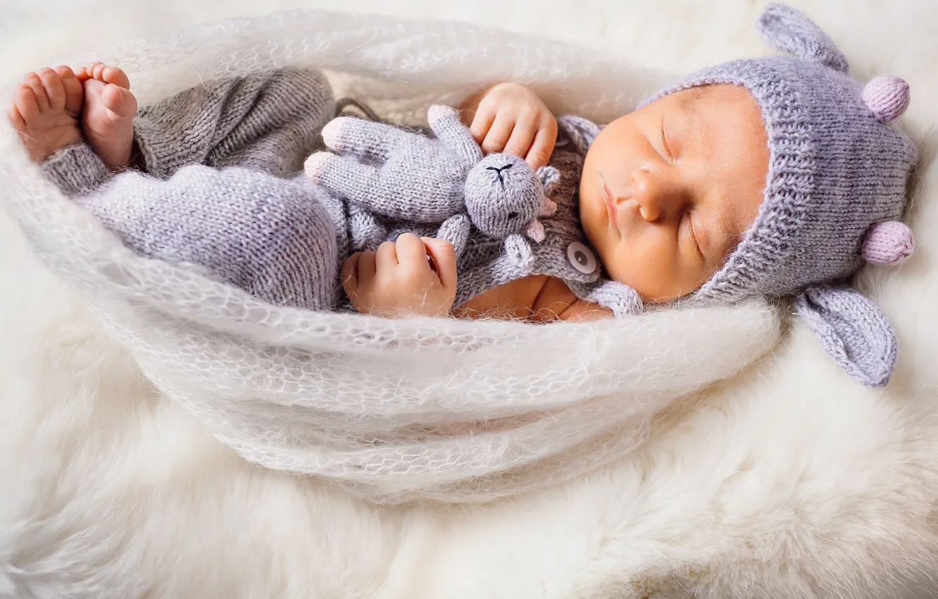 Wallpaper dream, toy, sleep, baby, cocoon, Cocoon, baby, baby for ...