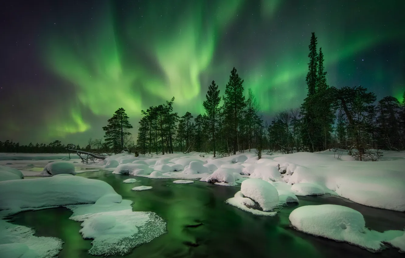 Wallpaper winter, snow, trees, landscape, night, nature, river, shore ...