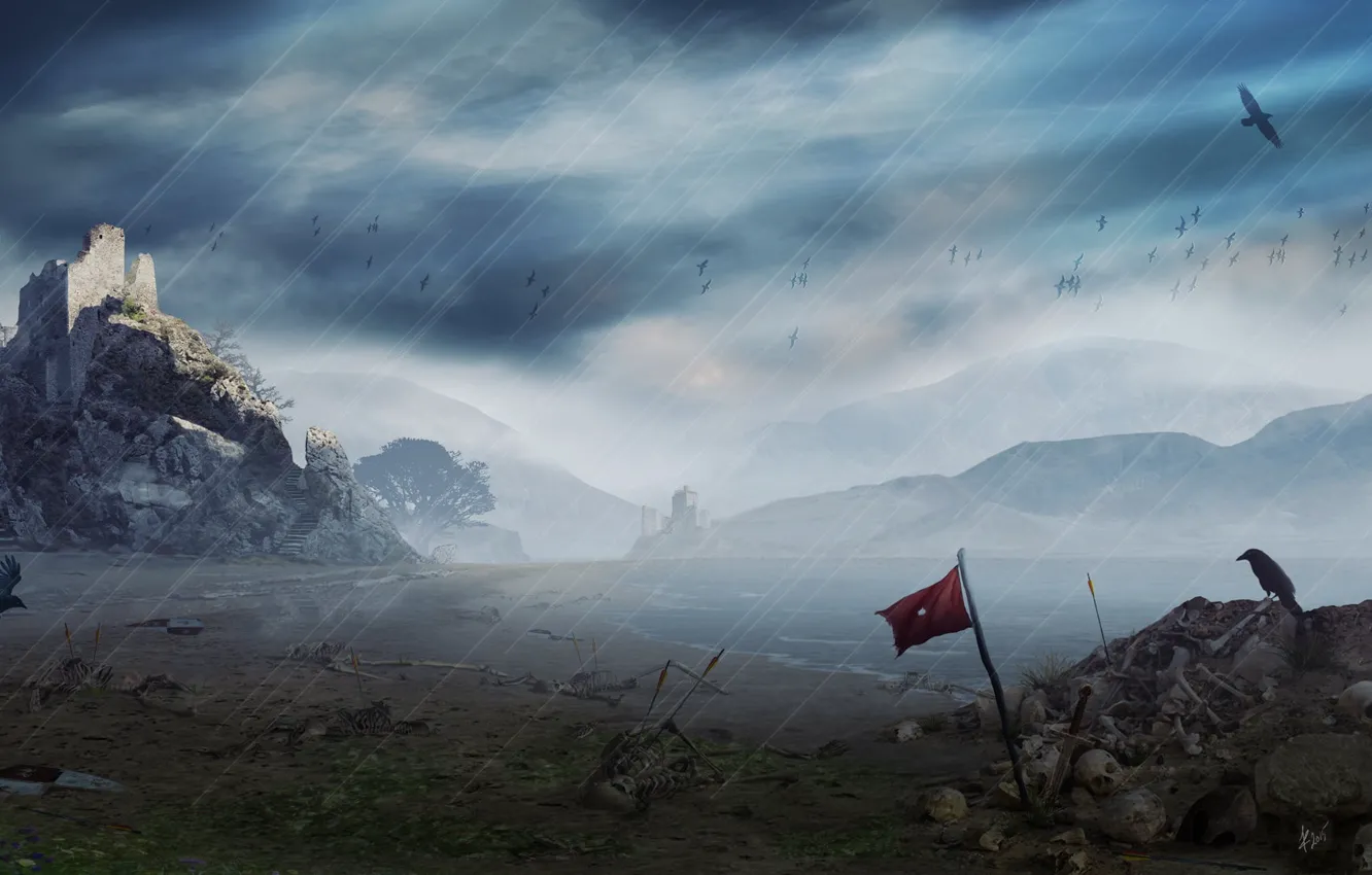 Wallpaper bird, flag, skeleton, ruins, Death Zone for mobile and ...