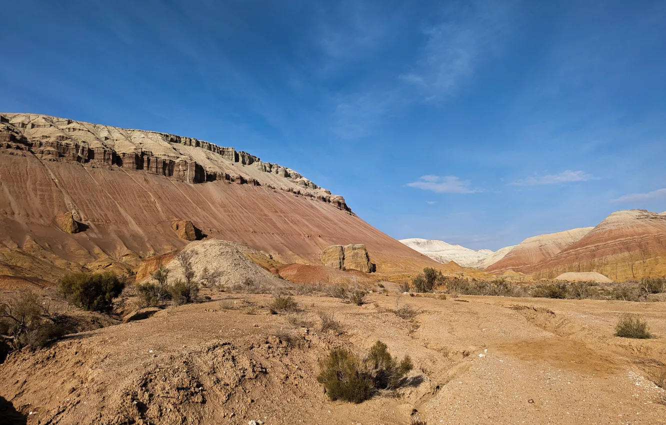 Wallpaper Autumn, Kazakhstan, The steppe, pixel 7 pro sample photo ...