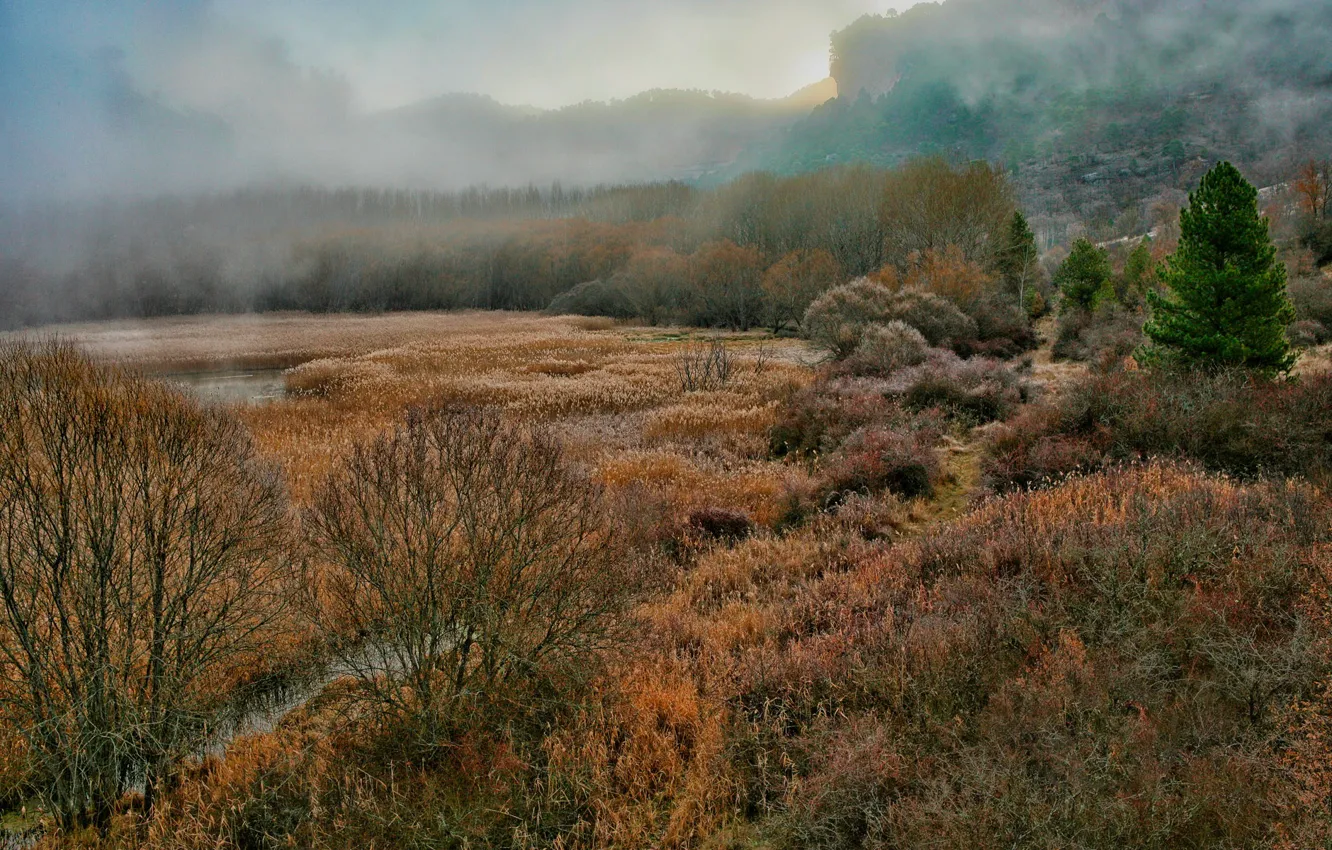 Wallpaper autumn, landscape, fog, Bay, gorge, Spain, Laguna, gloomy for ...