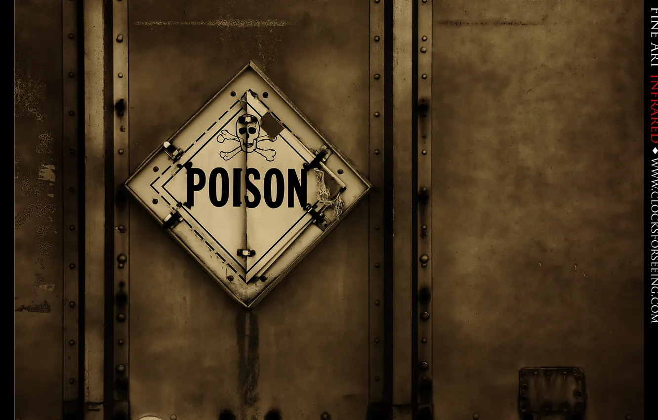 Wallpaper skull, poison for mobile and desktop, section разное ...