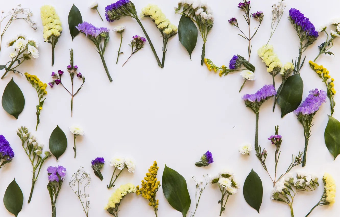 Wallpaper flowers, background, spring, buds, flowers, background ...