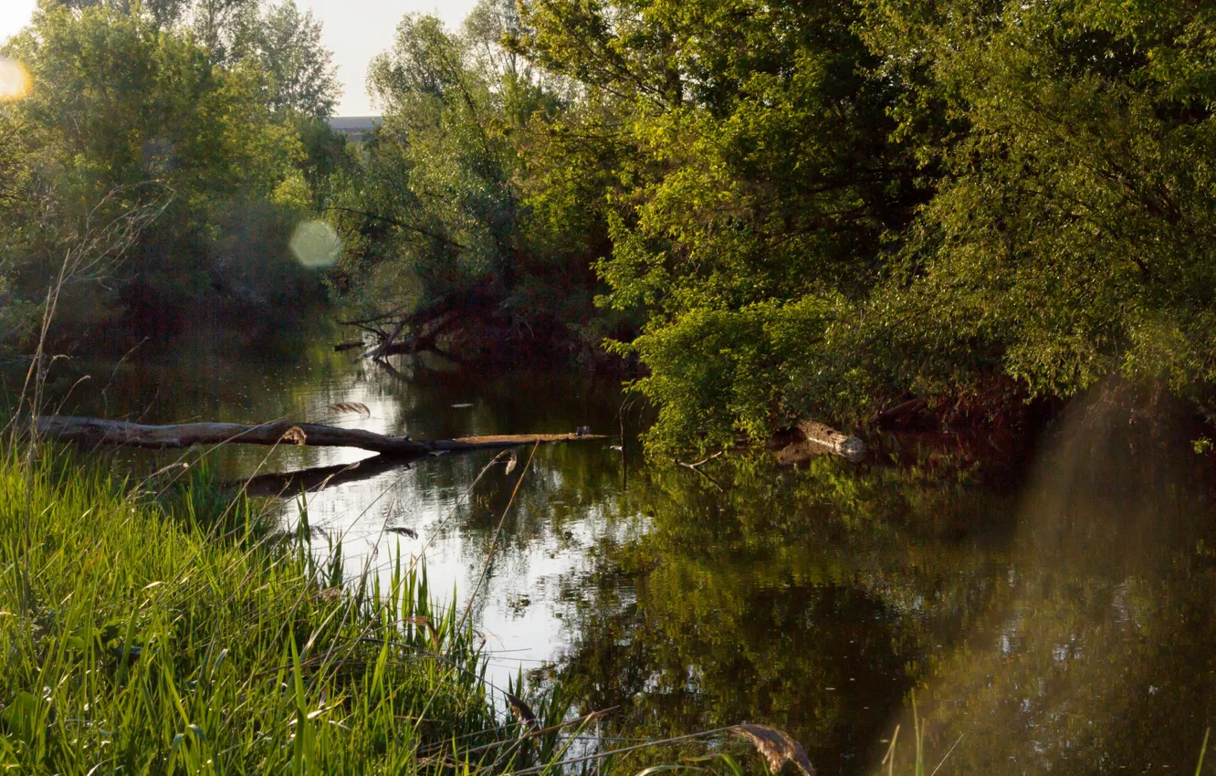 Wallpaper nature, river, the air, nature of Russia, the nature of the ...