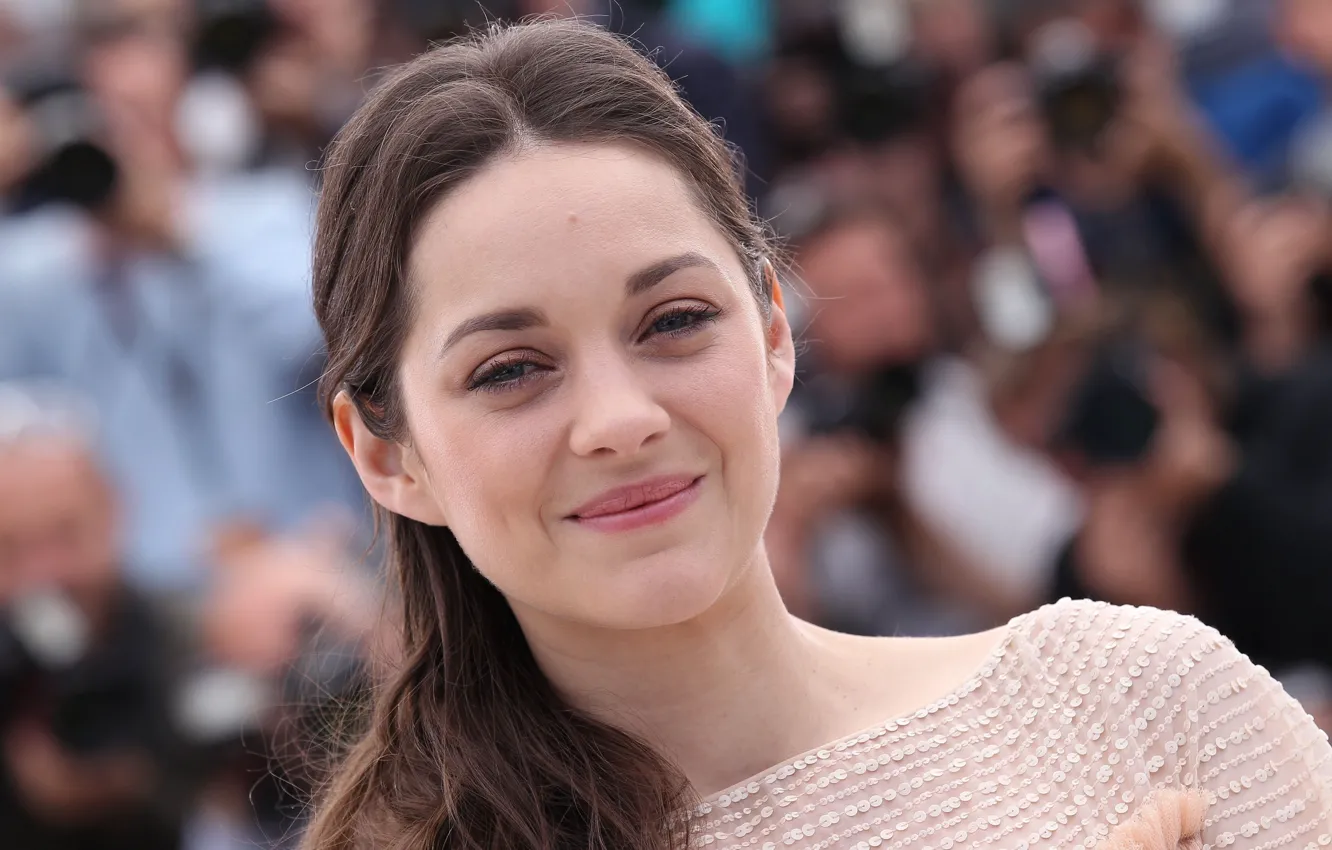 Wallpaper pose, actress, brunette, blue eyes, blue-eyed, hair, Marion ...