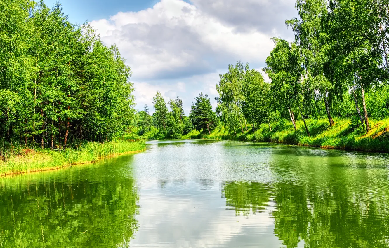 Wallpaper light, landscape, nature, land, lake, leaf, outdoor, natural ...