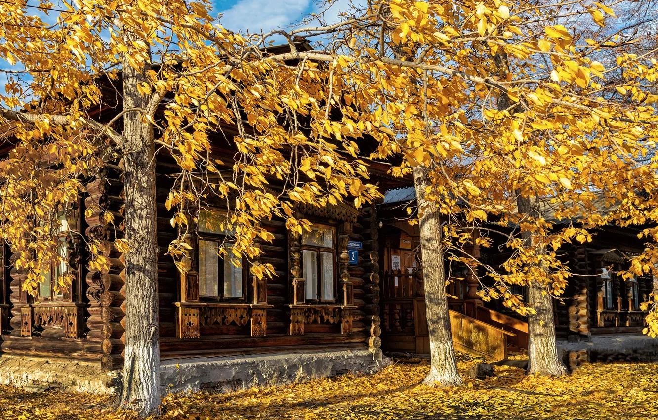 Wallpaper trees, yellow, autumn, cabin for mobile and desktop, section ...