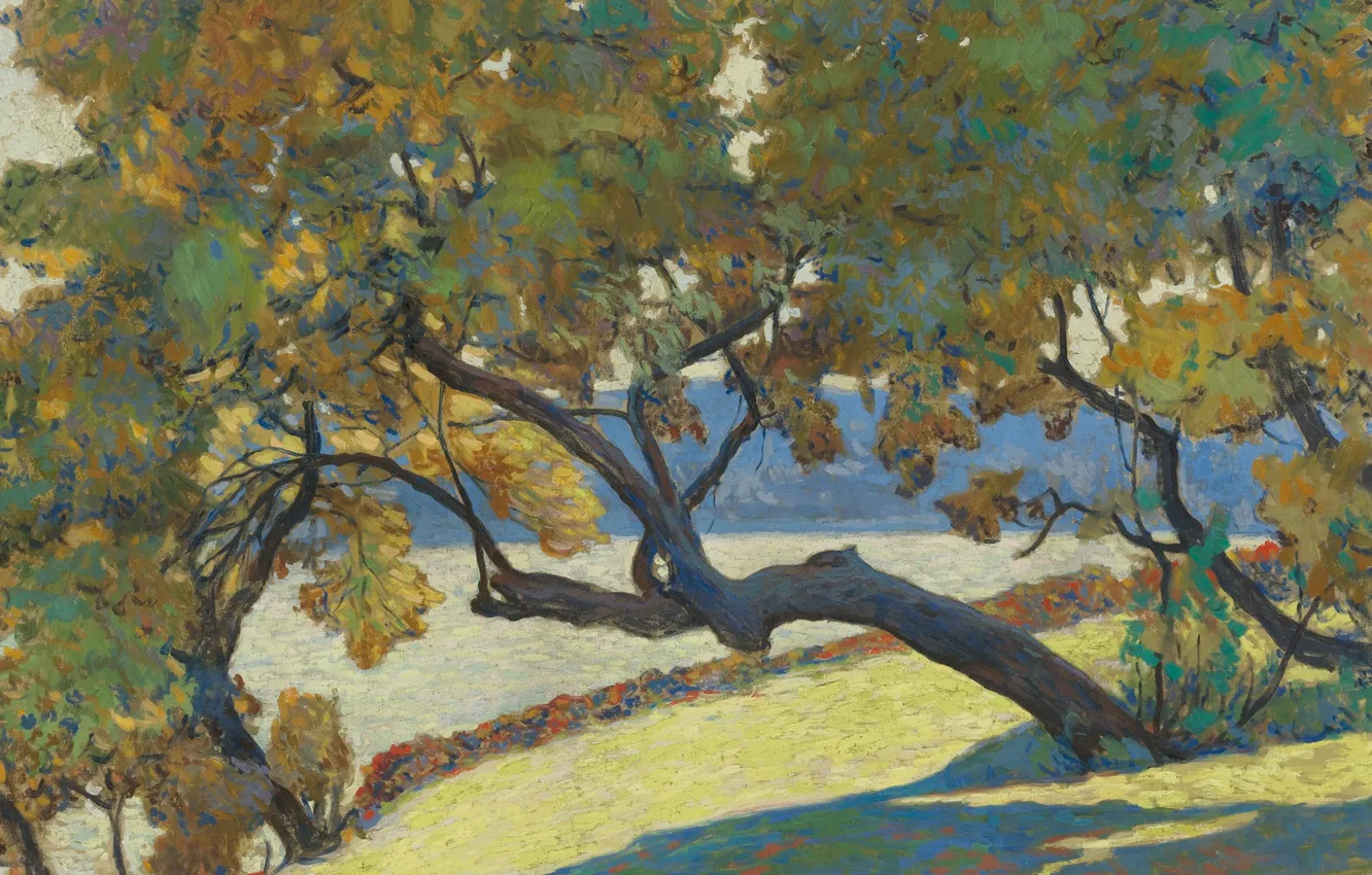 Wallpaper landscape, nature, picture, Alexander Altman, A large tree on ...