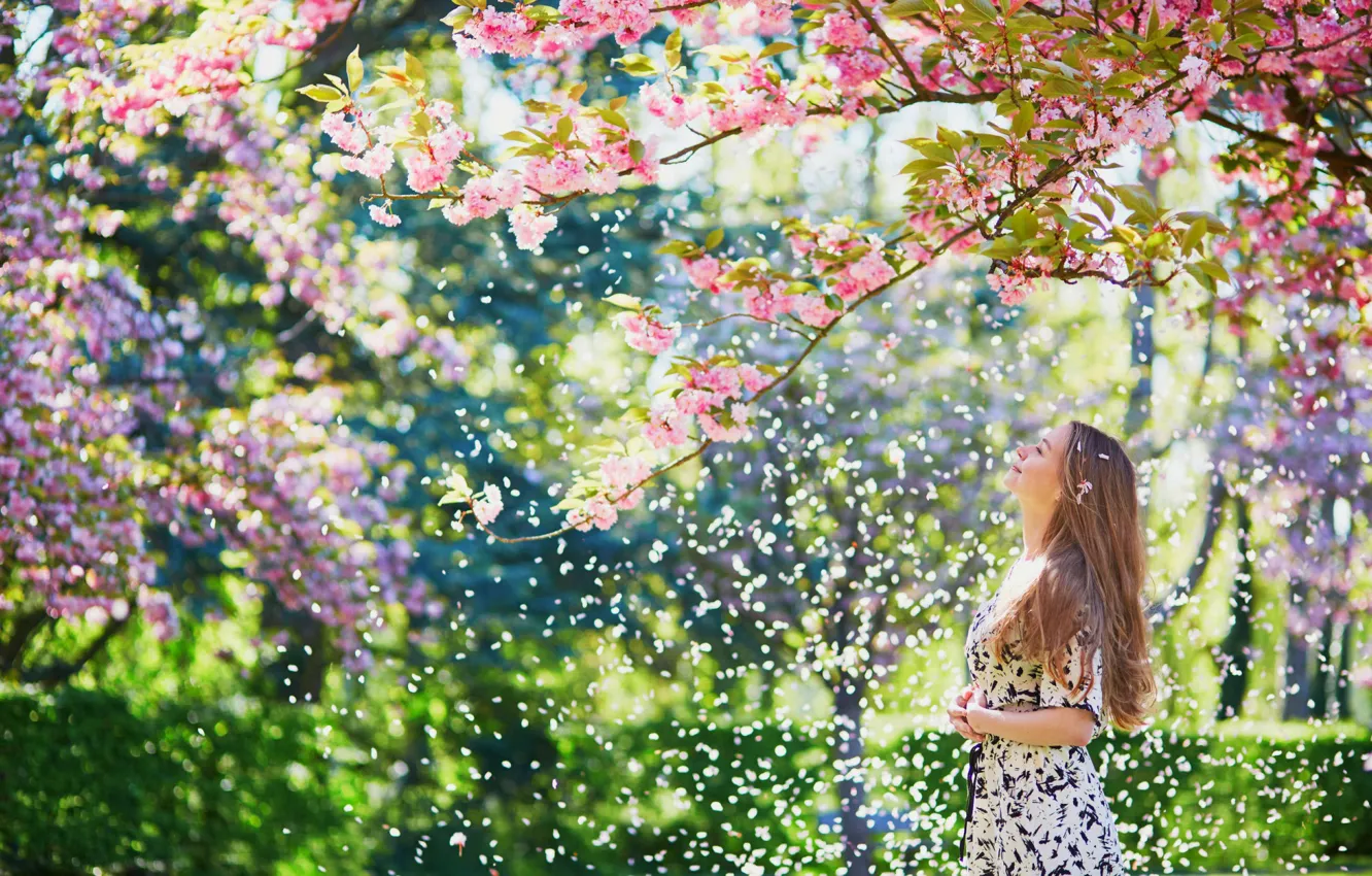 Wallpaper girl, tree, spring, blossoms for mobile and desktop, section ...