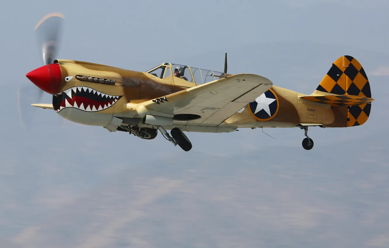 Wallpaper fighter, cabin, pilot, Curtiss P-40 for mobile and desktop ...