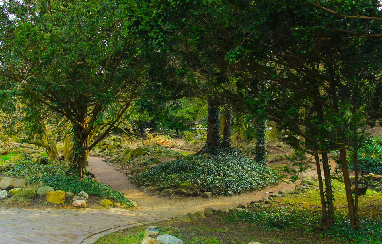 Wallpaper park, tree, alley for mobile and desktop, section пейзажи ...