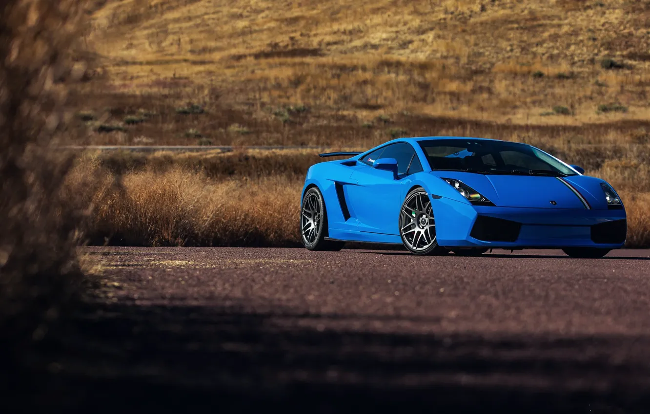 Wallpaper Gallardo, Blue, Spoiler images for desktop, section ...