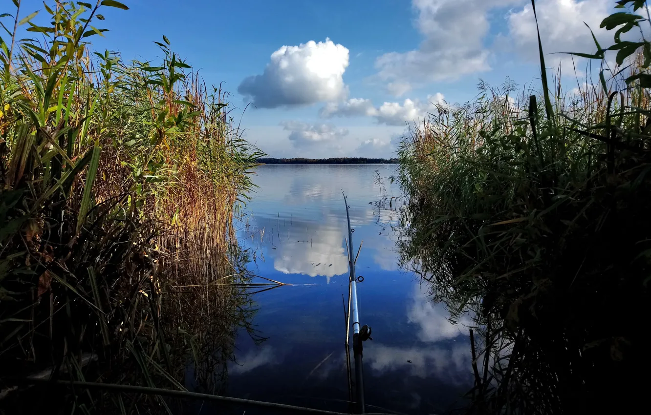 Wallpaper the sky, clouds, river, fishing, reed, rod for mobile and ...