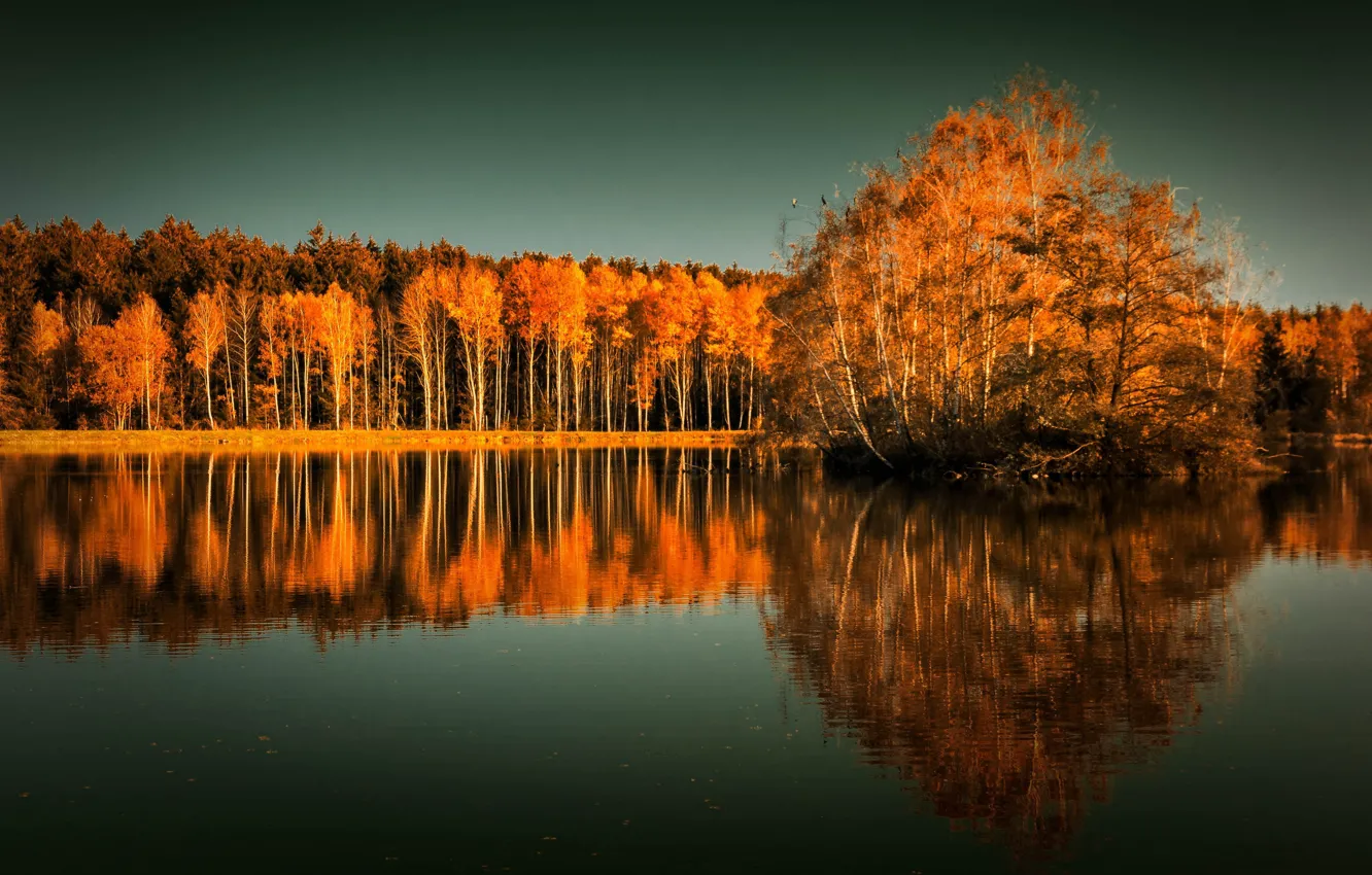 Wallpaper autumn, forest, lake for mobile and desktop, section пейзажи ...