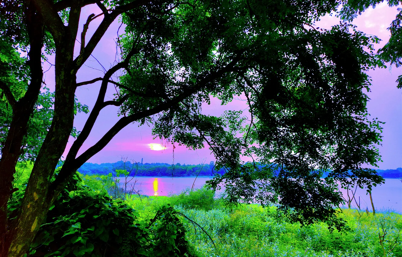 Wallpaper sky, trees, water, lake, morning, sun, sunrise, dawn for ...