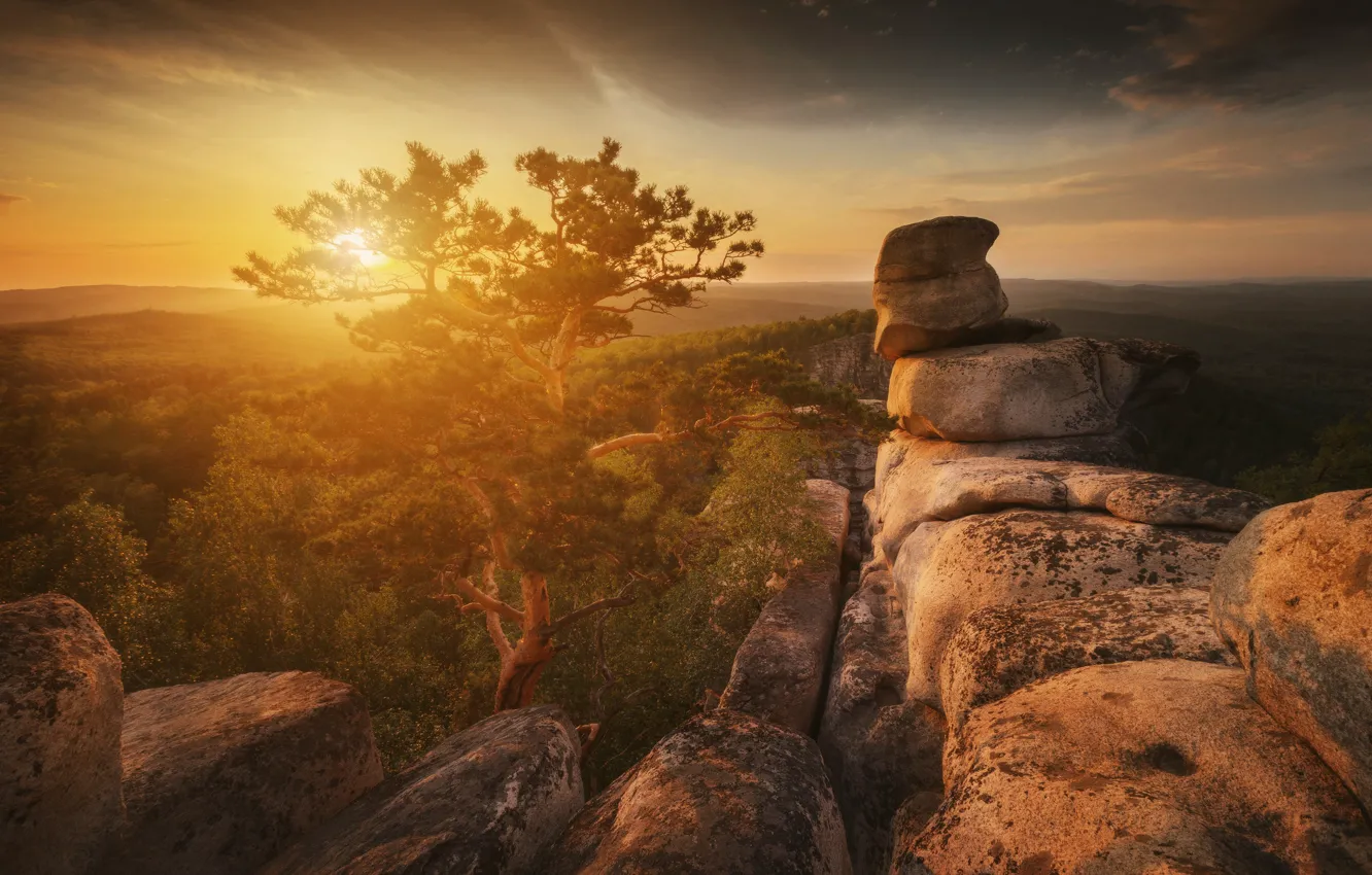 Wallpaper light, mountains, rocks, pine for mobile and desktop, section ...