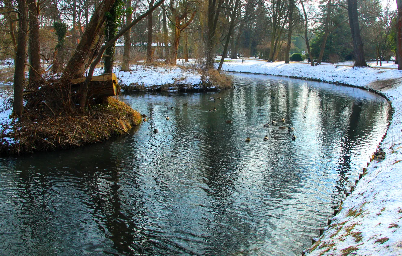 Wallpaper water, park, winter, pond for mobile and desktop, section ...
