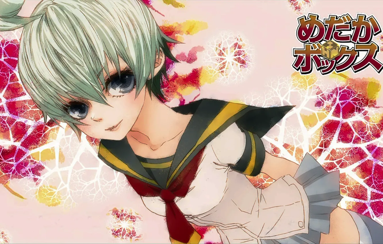 Wallpaper anime, art, schoolgirl, Medaka Box for mobile and desktop ...