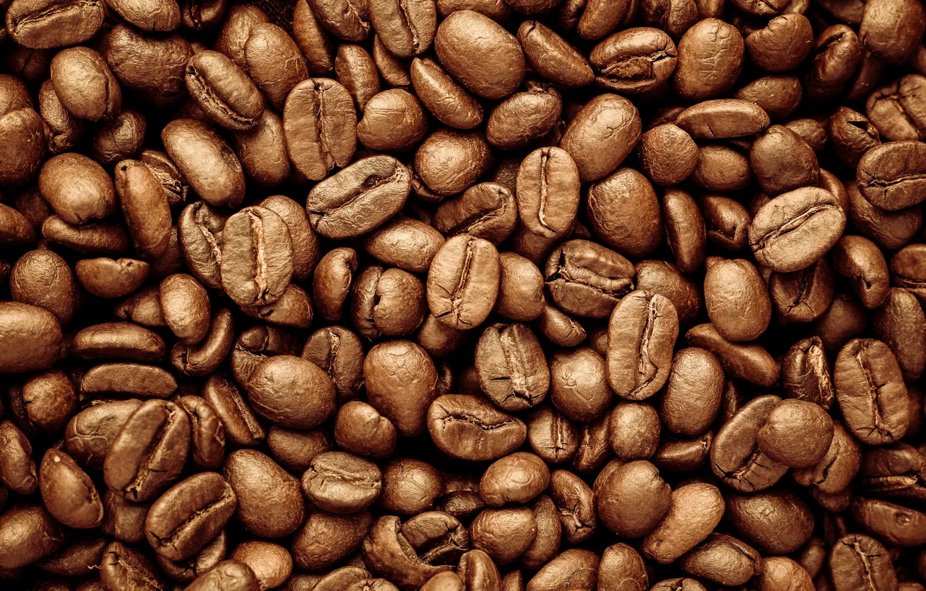 Wallpaper background, coffee, grain, texture, background, beans, coffee ...