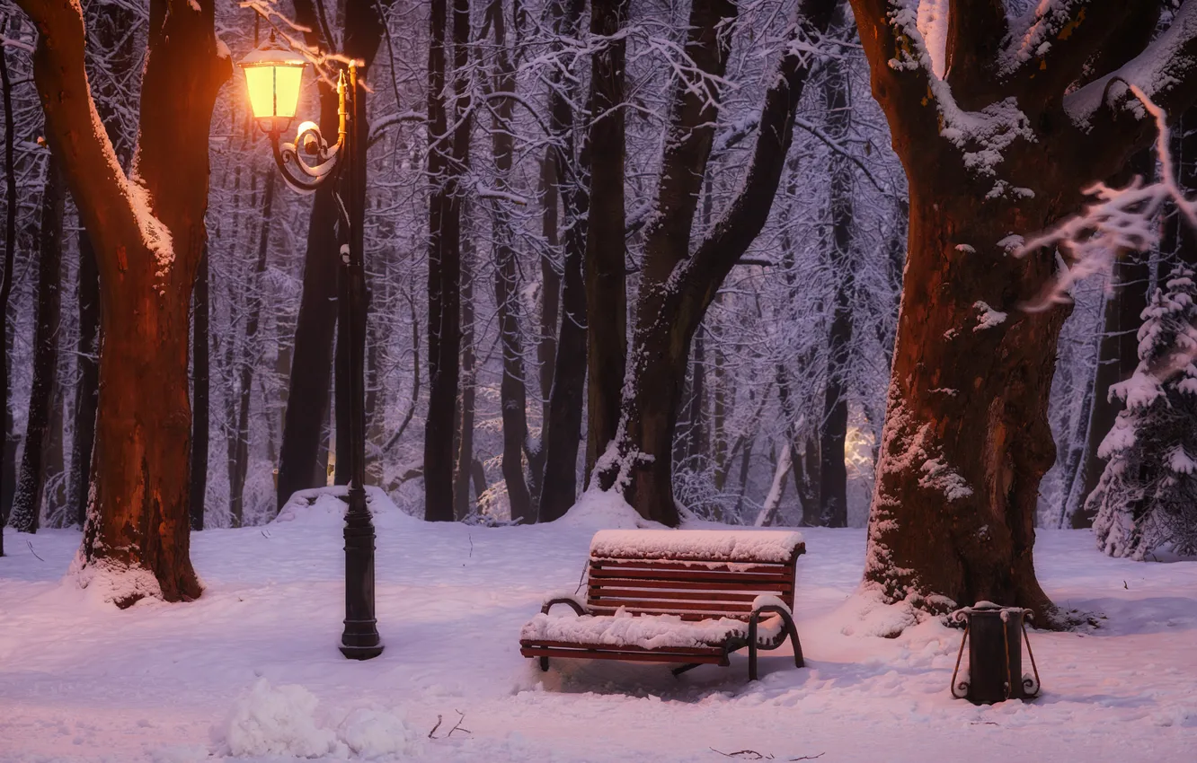 Wallpaper winter, snow, bench, nature, Park, the evening, lights for ...