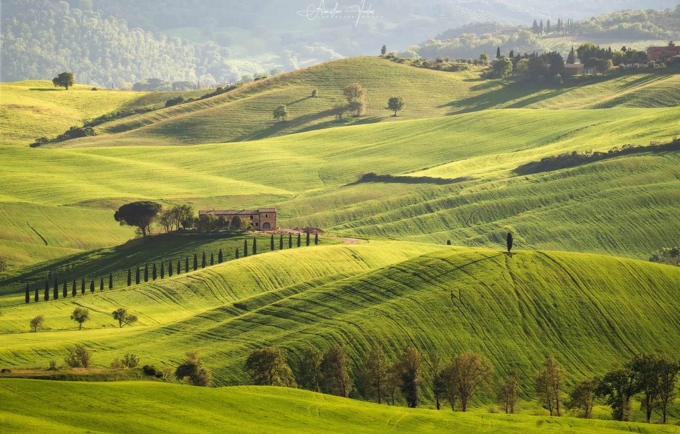 Wallpaper green, field, village, Land, plantation, plow for mobile and ...