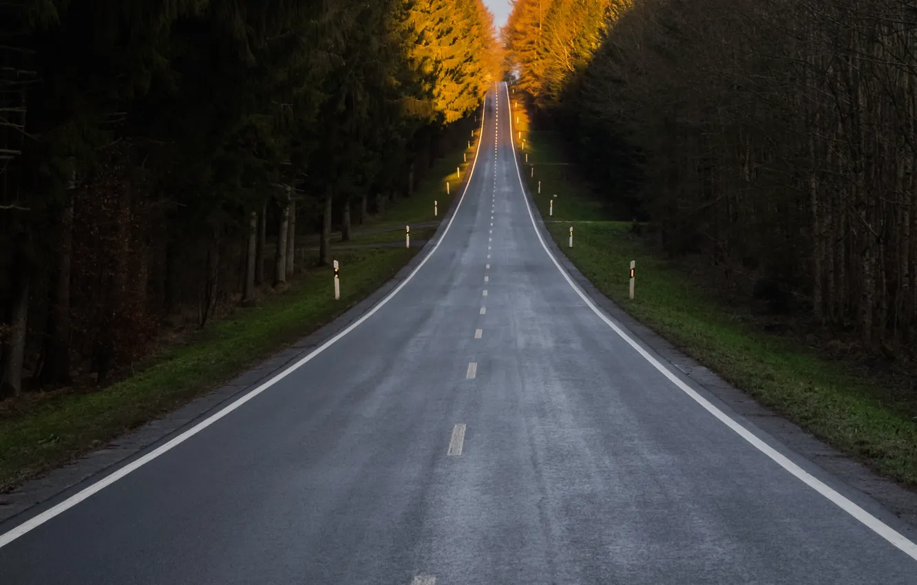 Wallpaper forest, road, landscape, highway for mobile and desktop, section пейзажи, resolution ...