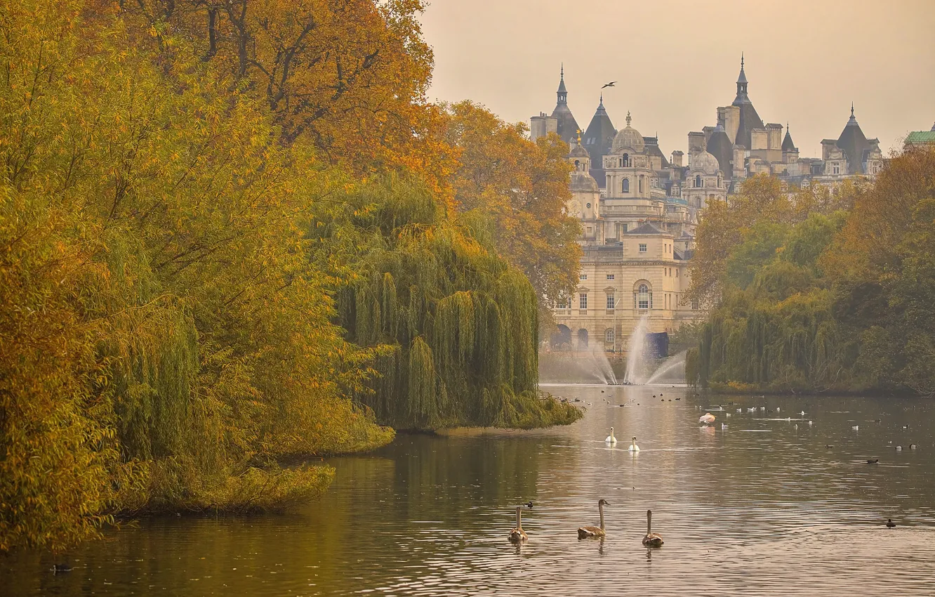 Wallpaper autumn, England, London for mobile and desktop, section город ...