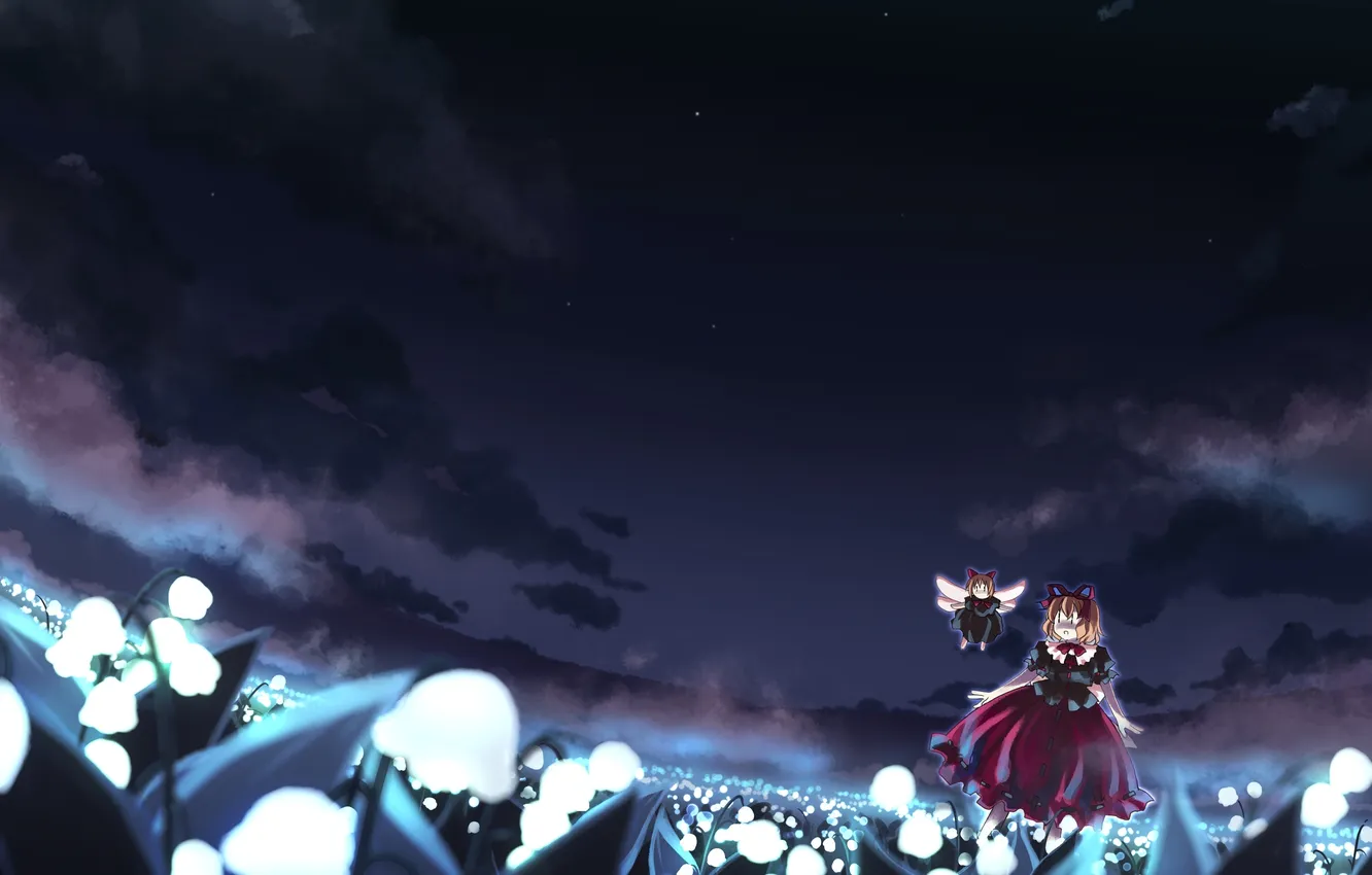 Wallpaper field, girl, stars, clouds, flowers, night, wings, art for ...