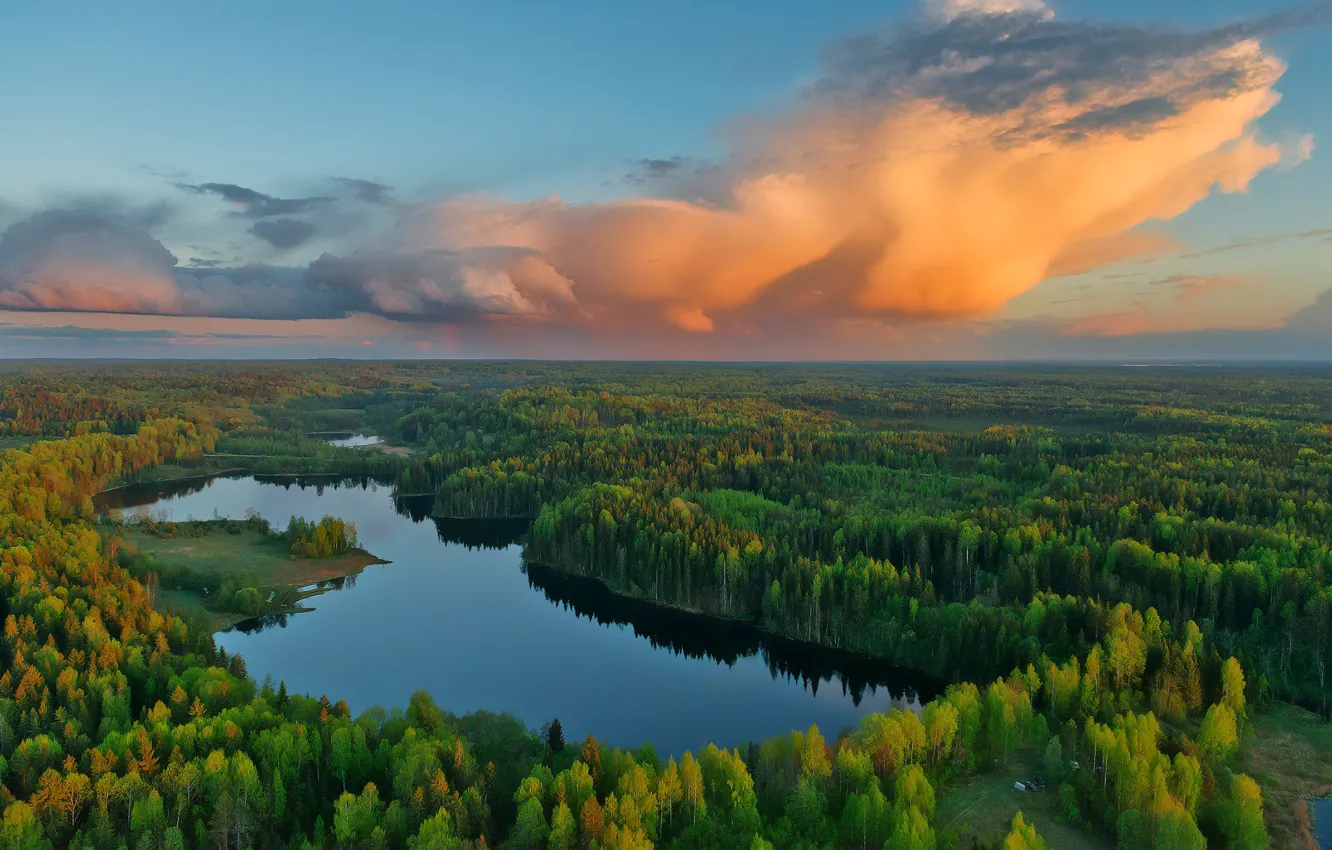Wallpaper autumn, the sky, clouds, the evening, Russia, Tver oblast ...